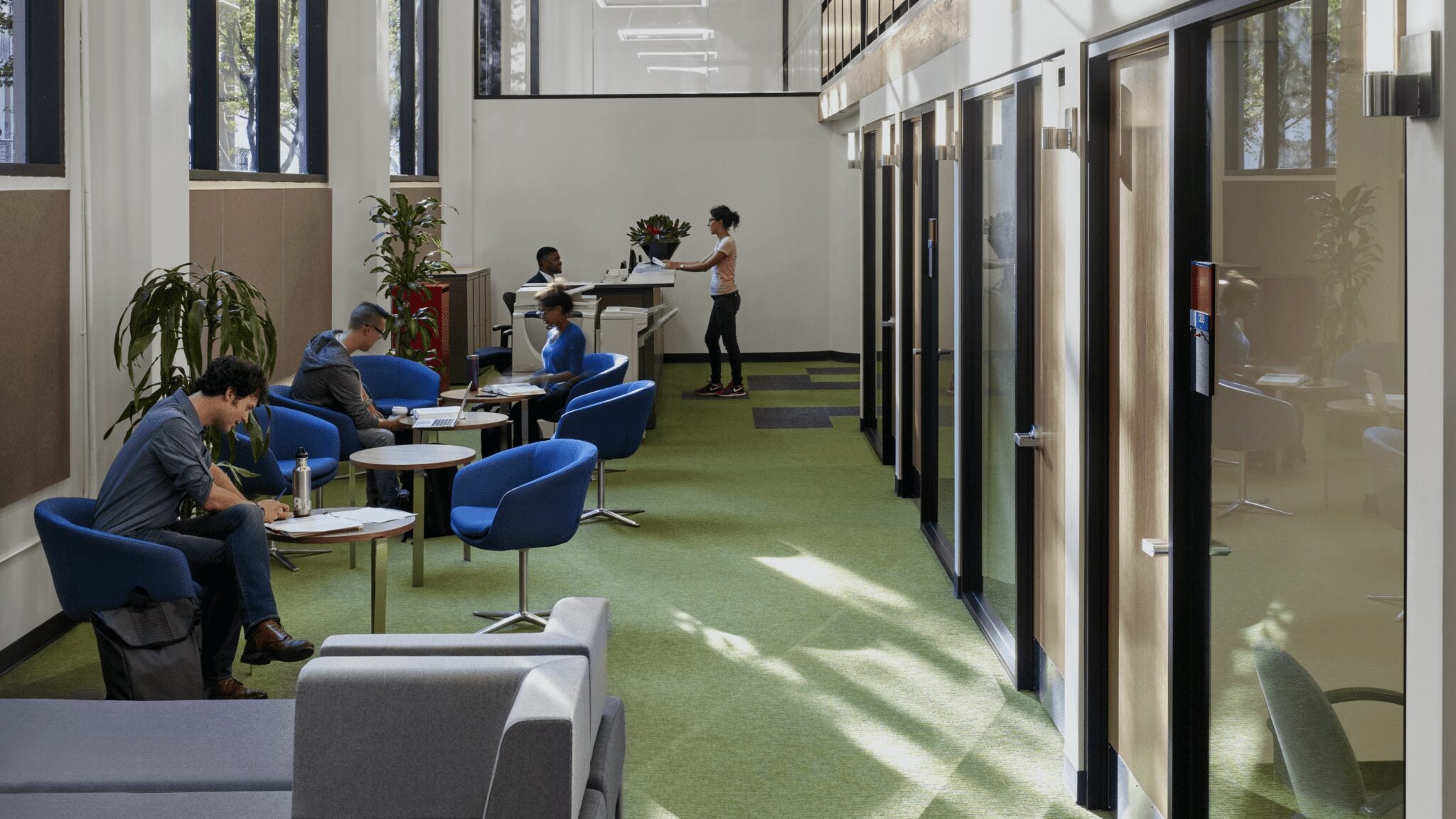 Bachelor's Degrees | Golden Gate University